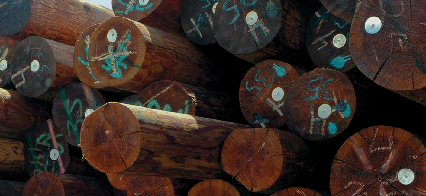 Home | Burke-Divide Electric Cooperative